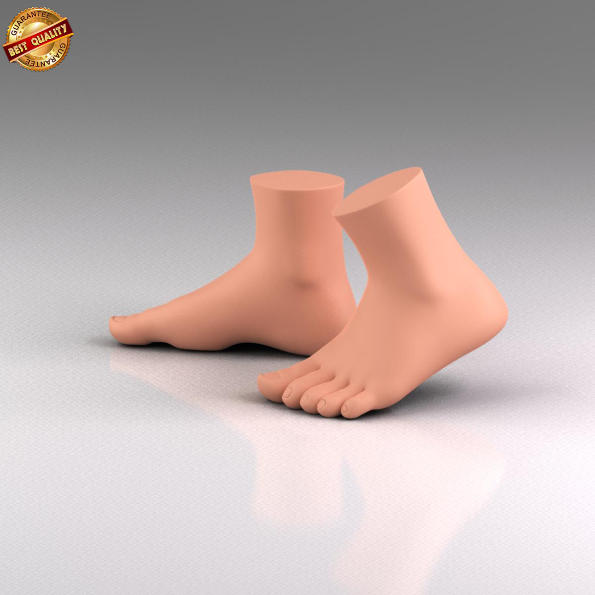 modeled anatomy medical 3d model