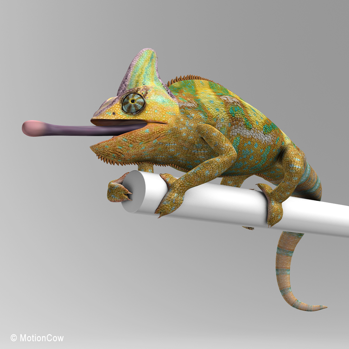 chameleon color 3d max