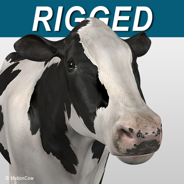 Free Animal Blender Models for Download | TurboSquid