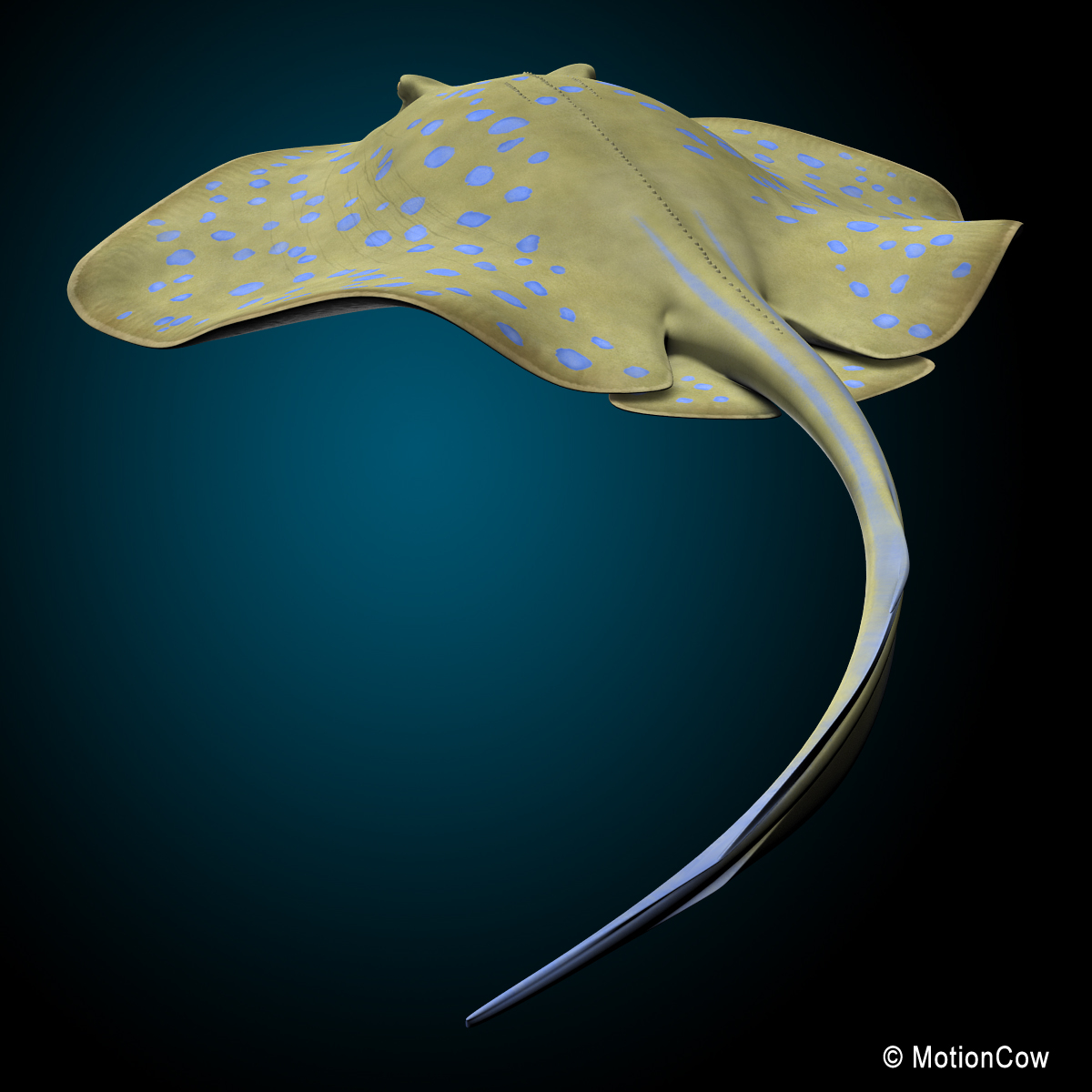 realistic bluespotted stingray 3d model