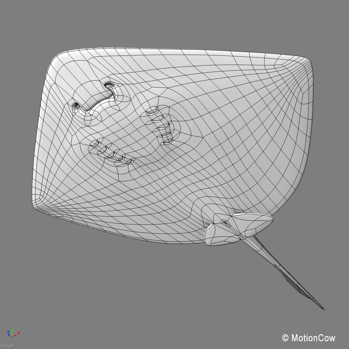 3d realistic stingray model