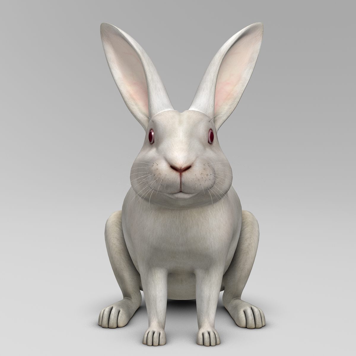 3d realistic white rabbit
