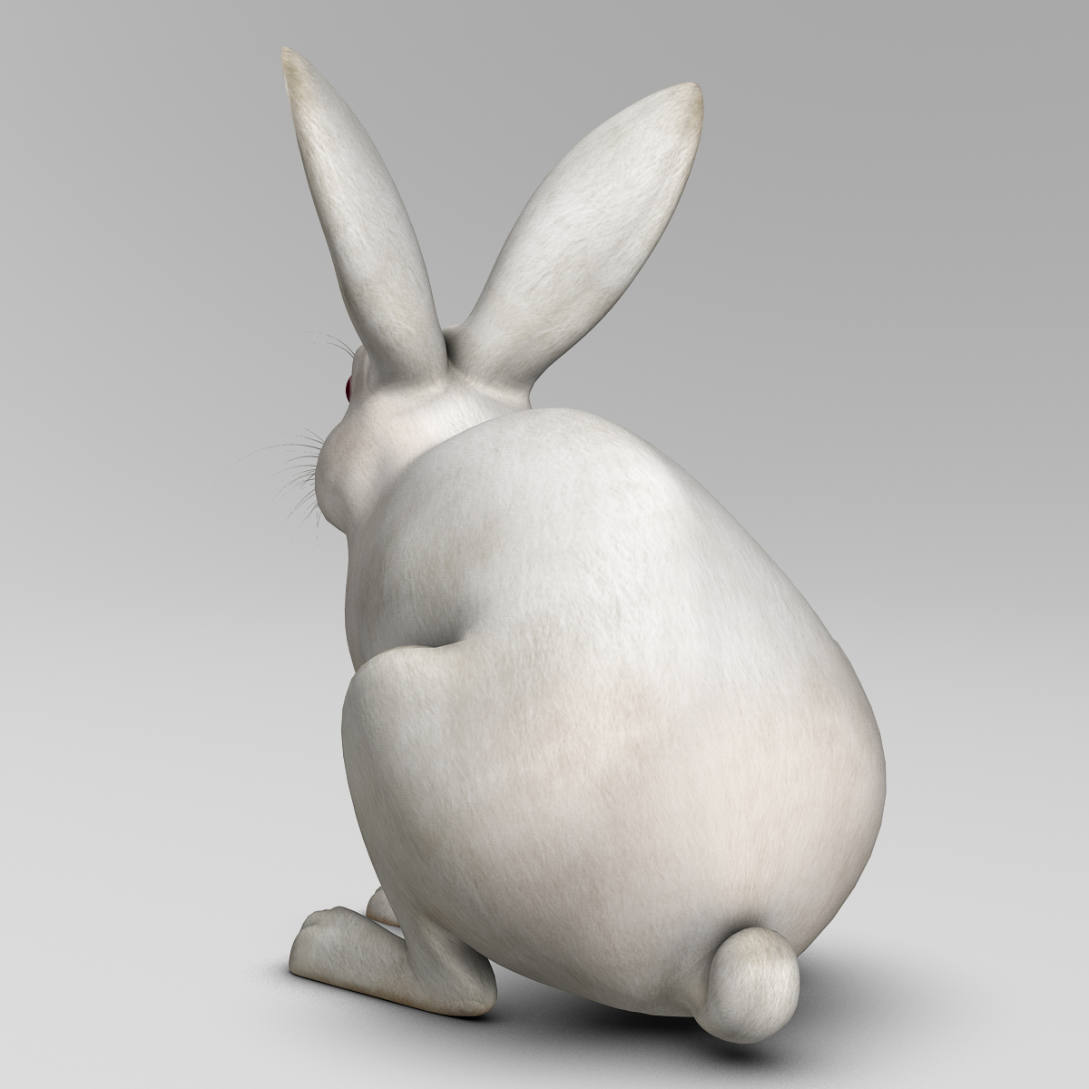 3d realistic white rabbit