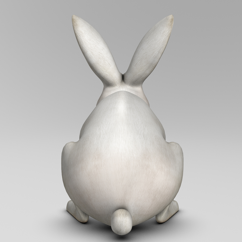 3d realistic white rabbit
