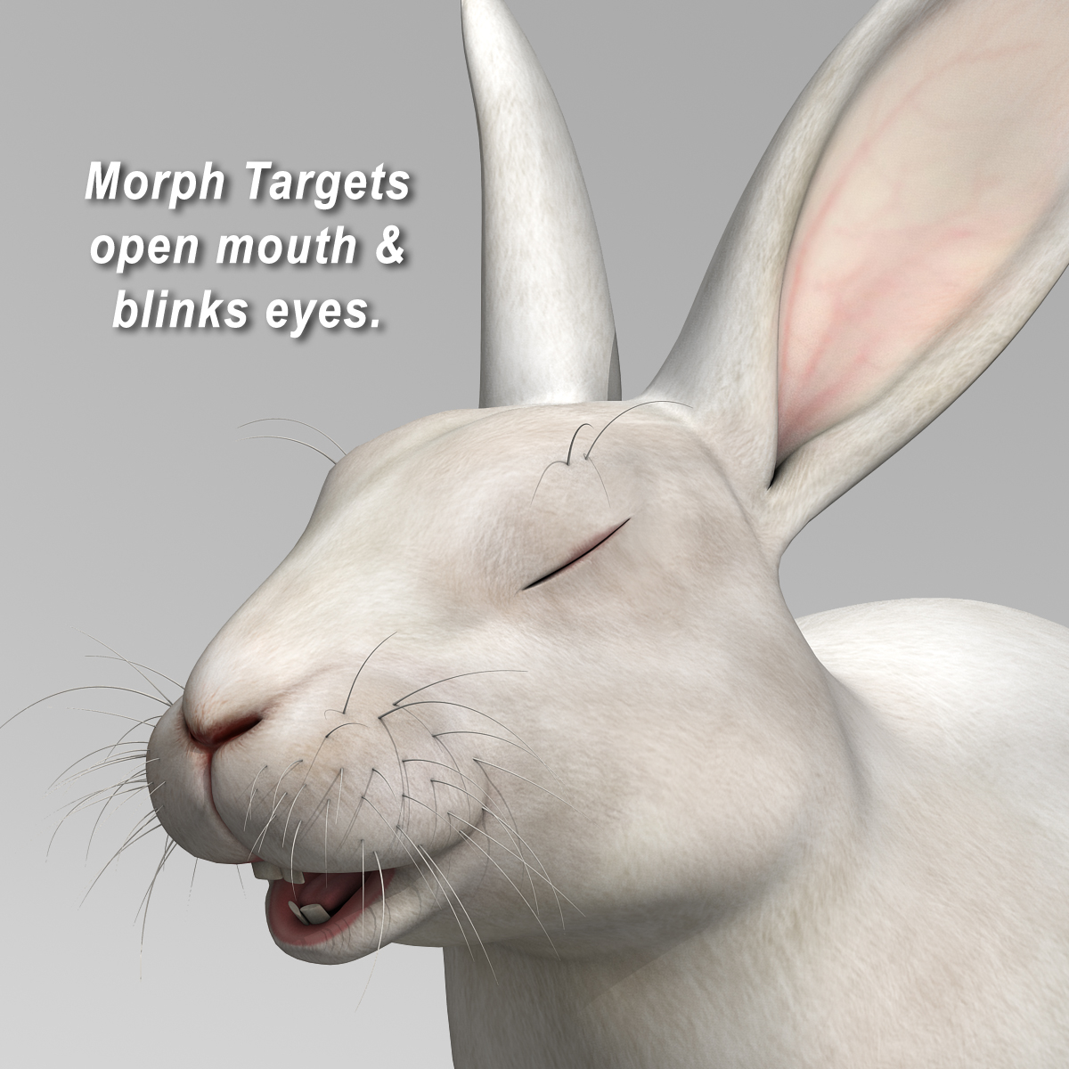 3d realistic white rabbit