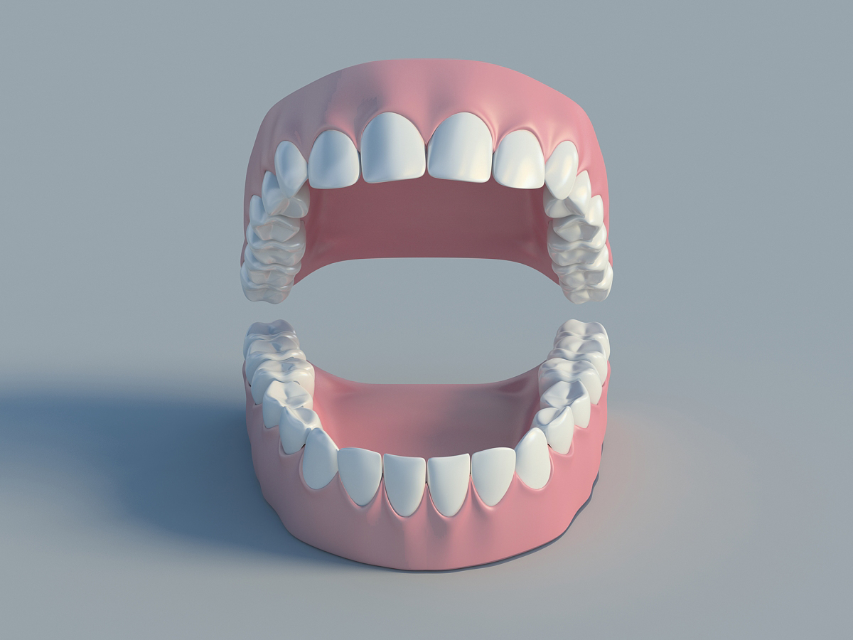 human teeth 3d model