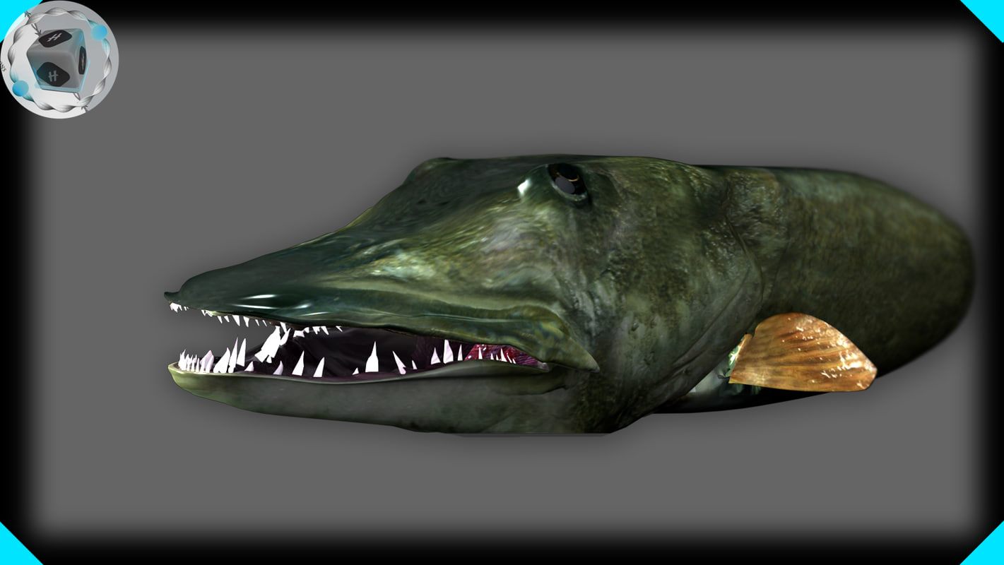 muskie head 3d model