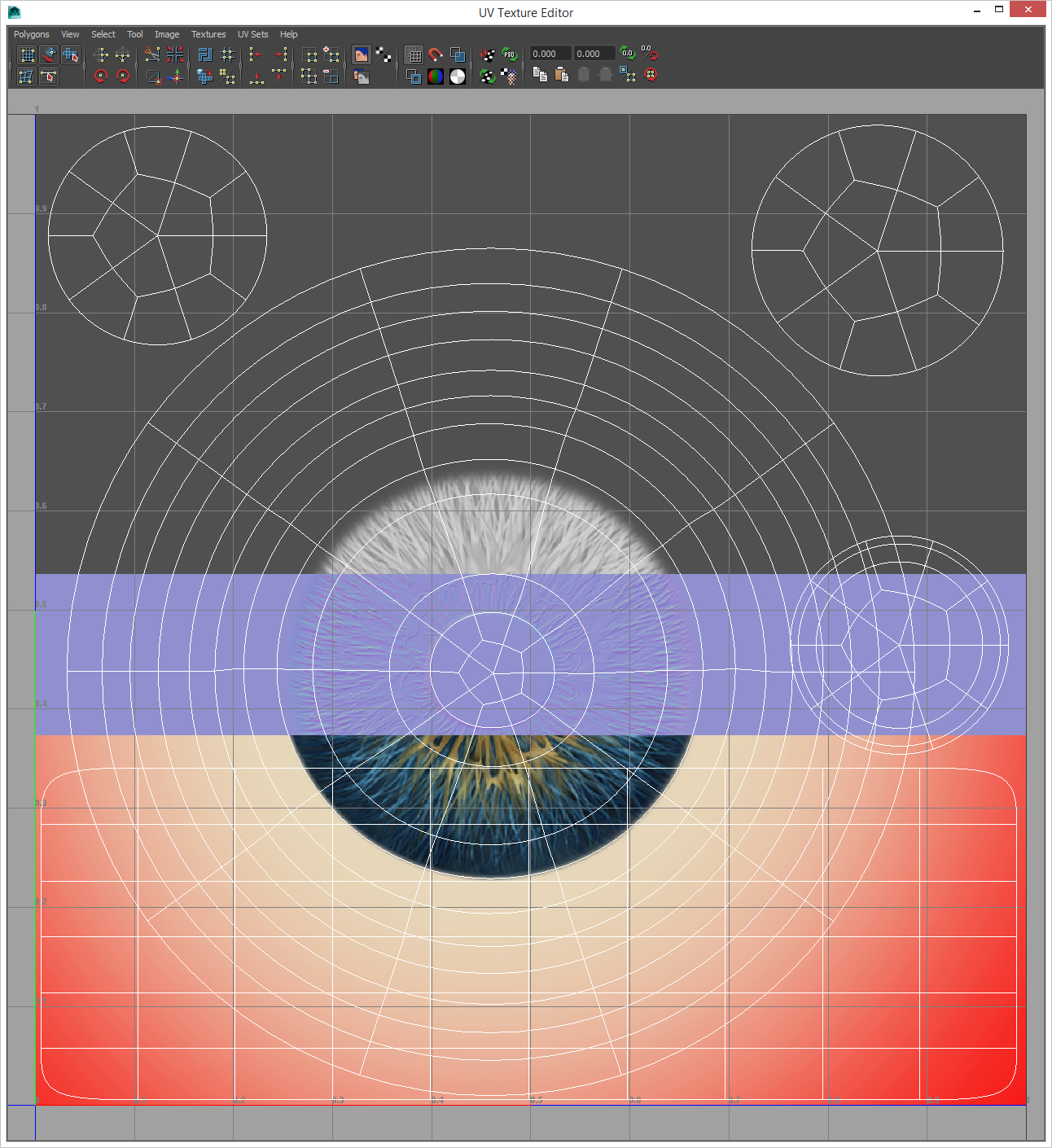 3d model eye