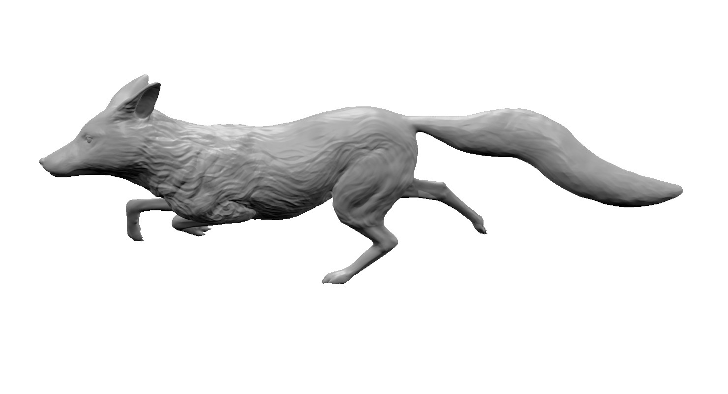 maya red fox running
