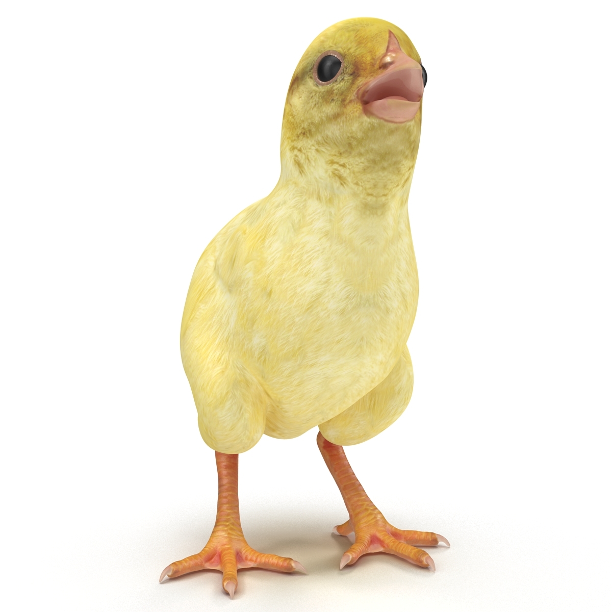 chick modeled 3d max