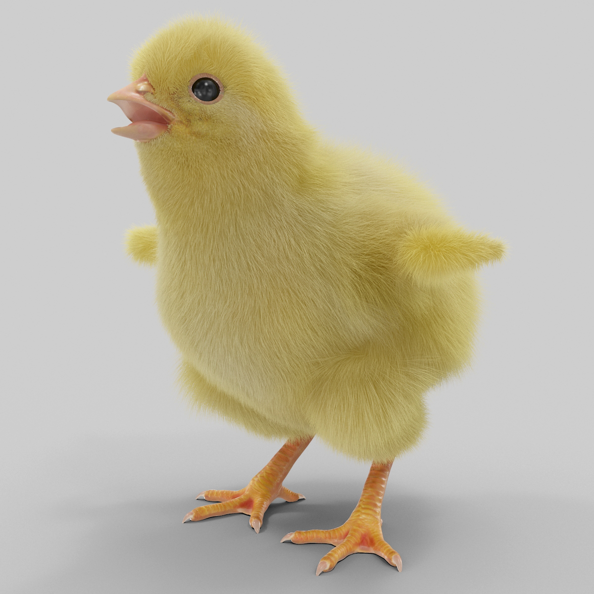 chick fur 3d max