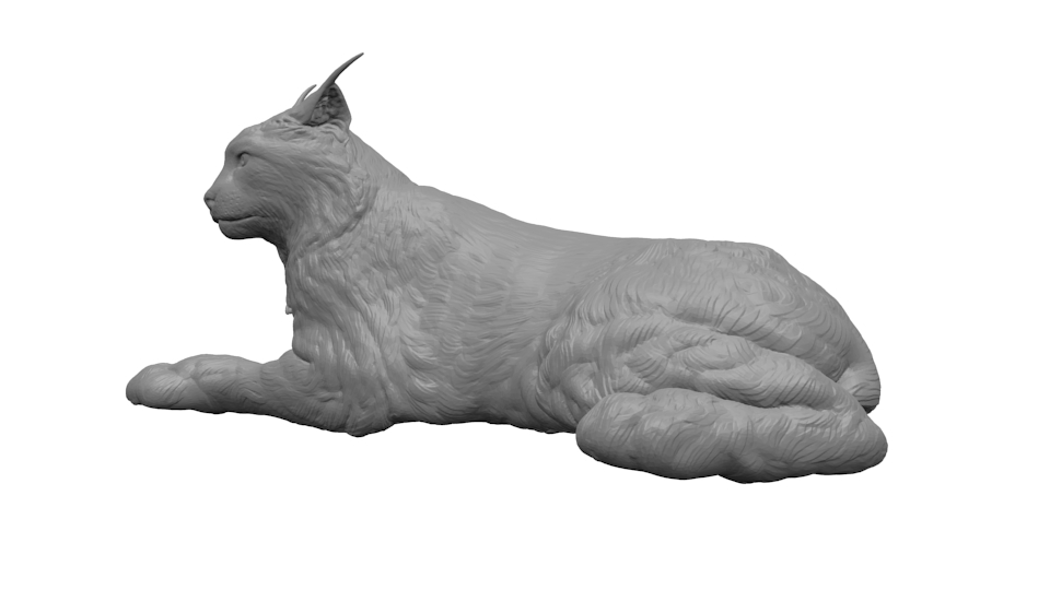 3d lynx model