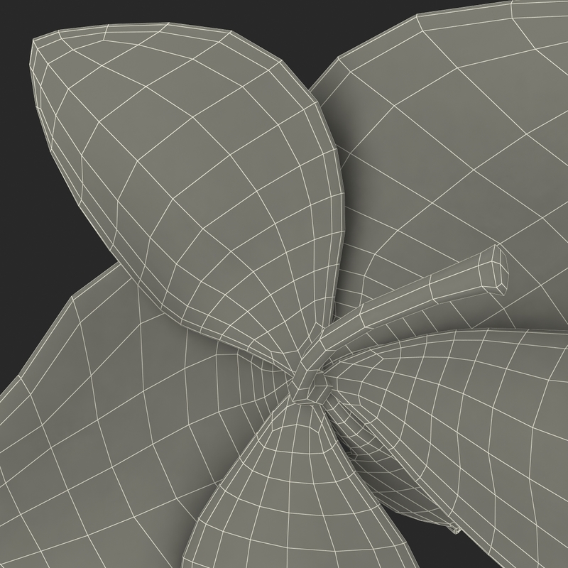 3d model of orchid flower