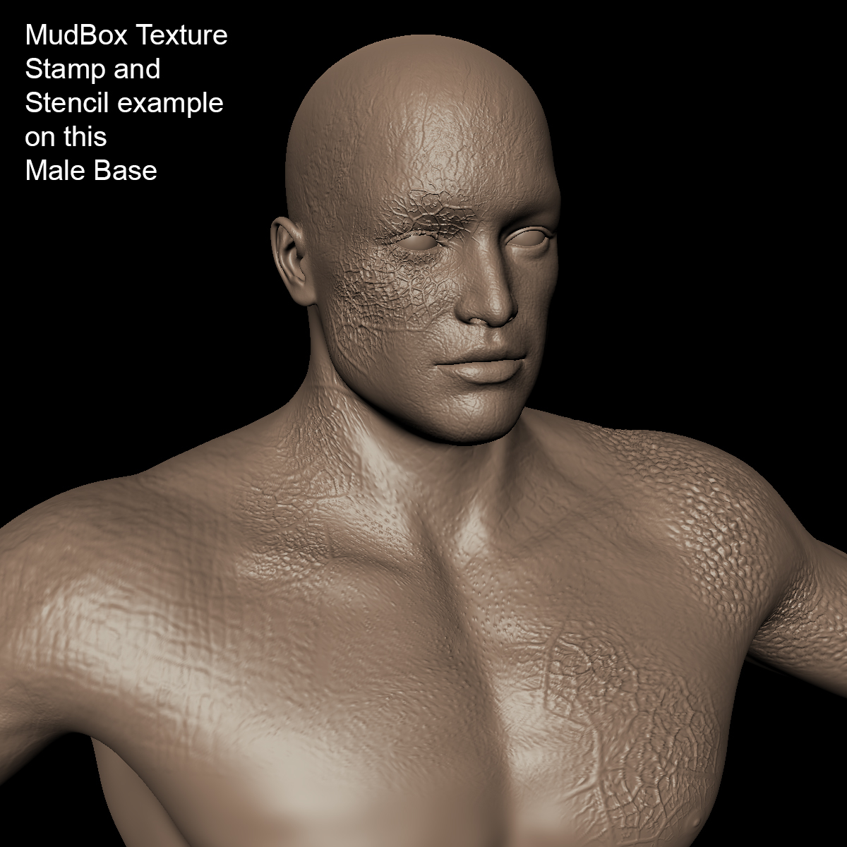 base male mesh 3d model