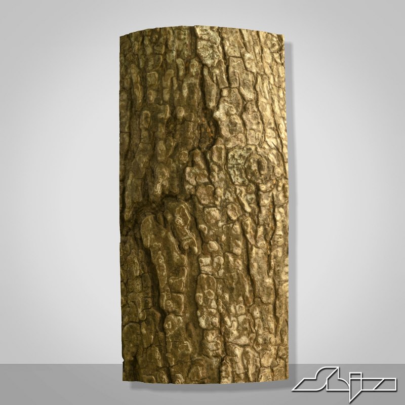 tree bark 3d 3ds