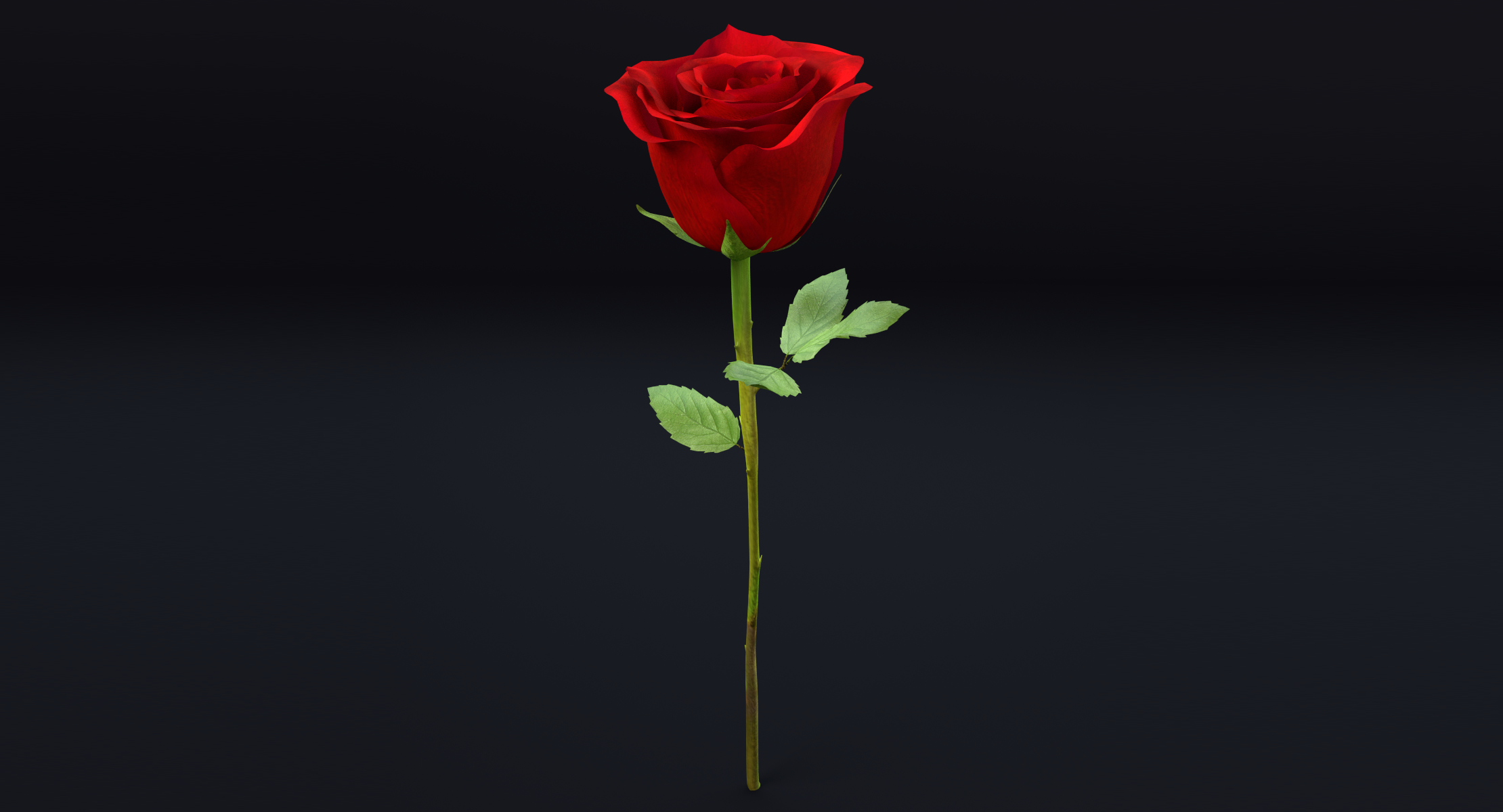 rose 3d model