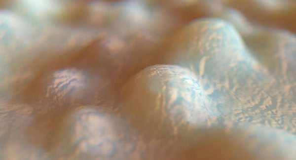 extremely fibroblast obj