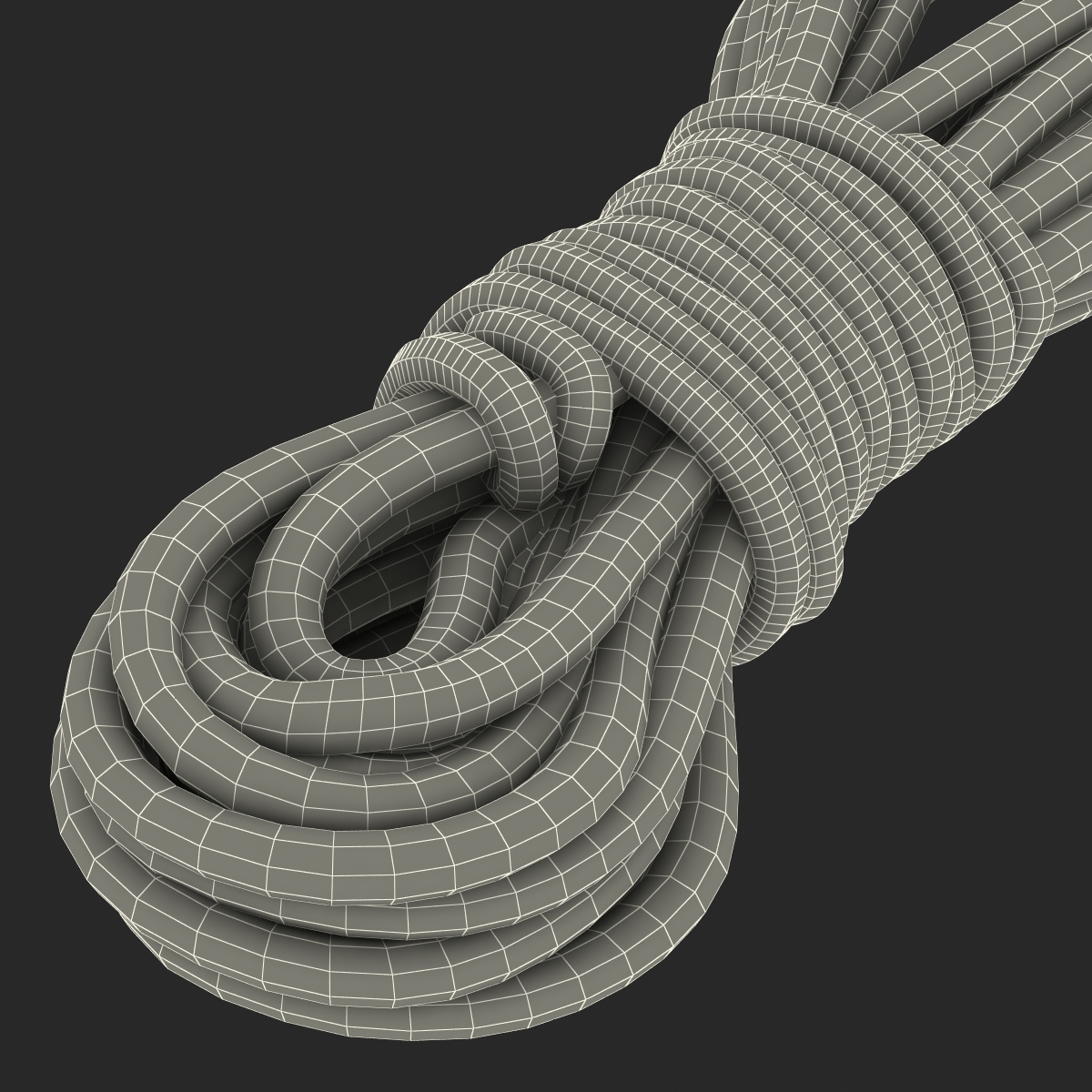 rock climbing rope purple 3d model