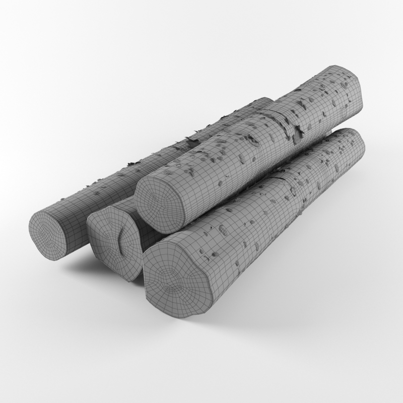 3d log model