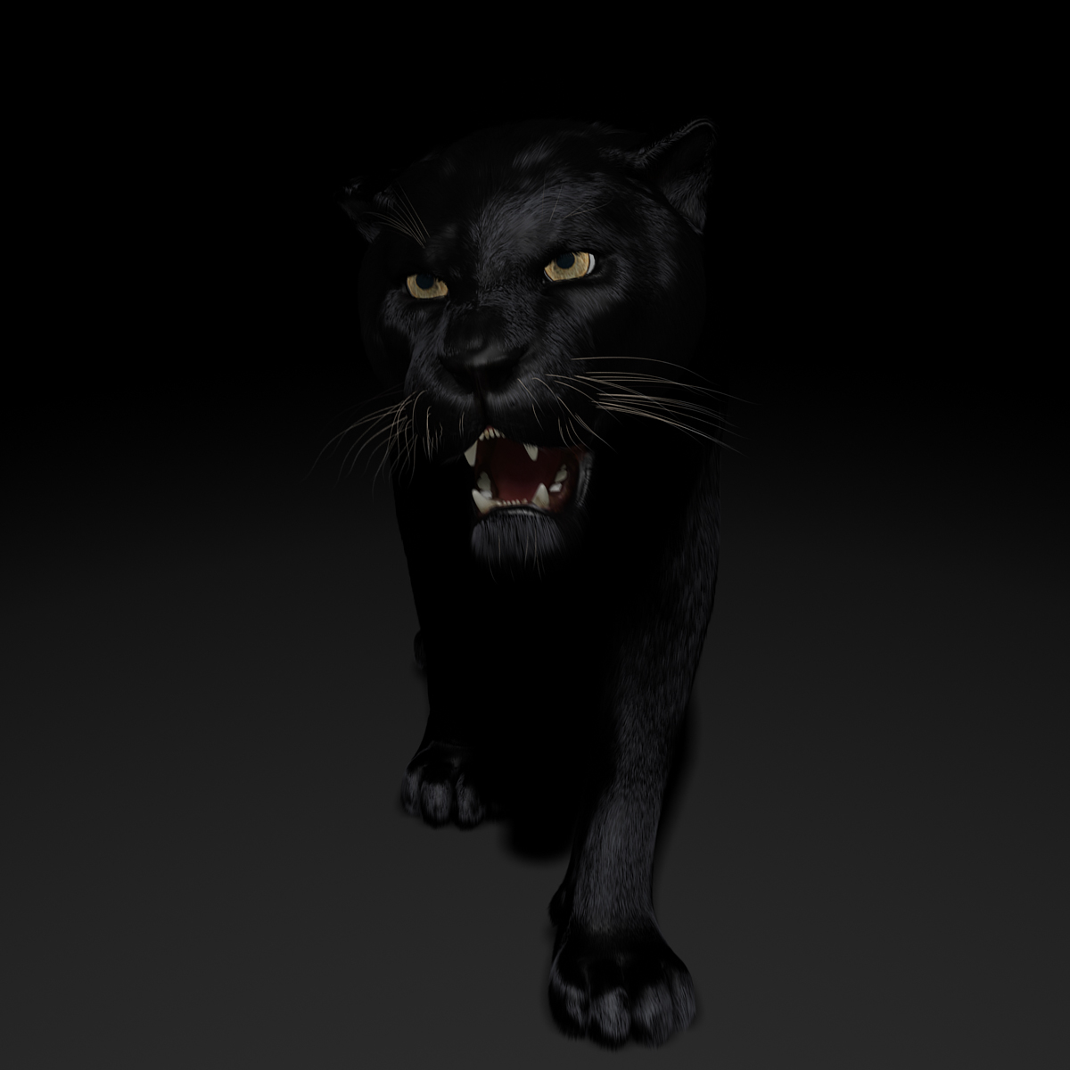 3d black panther fur animation
