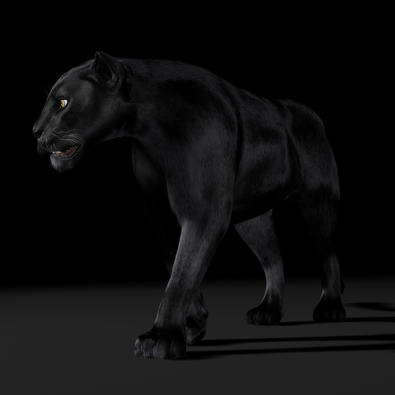 ma black panther rigged 2