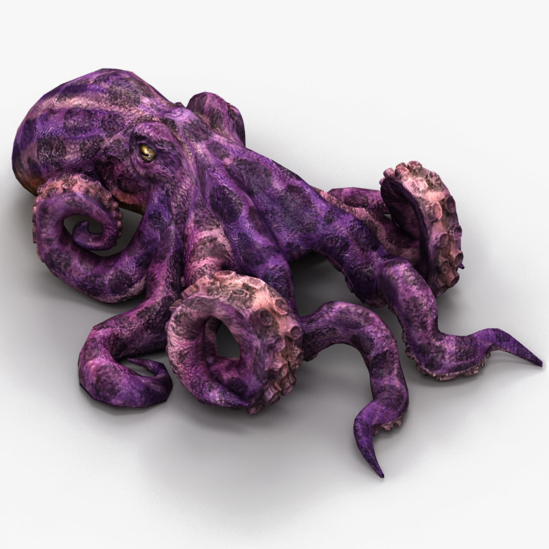 octopus 3d max
