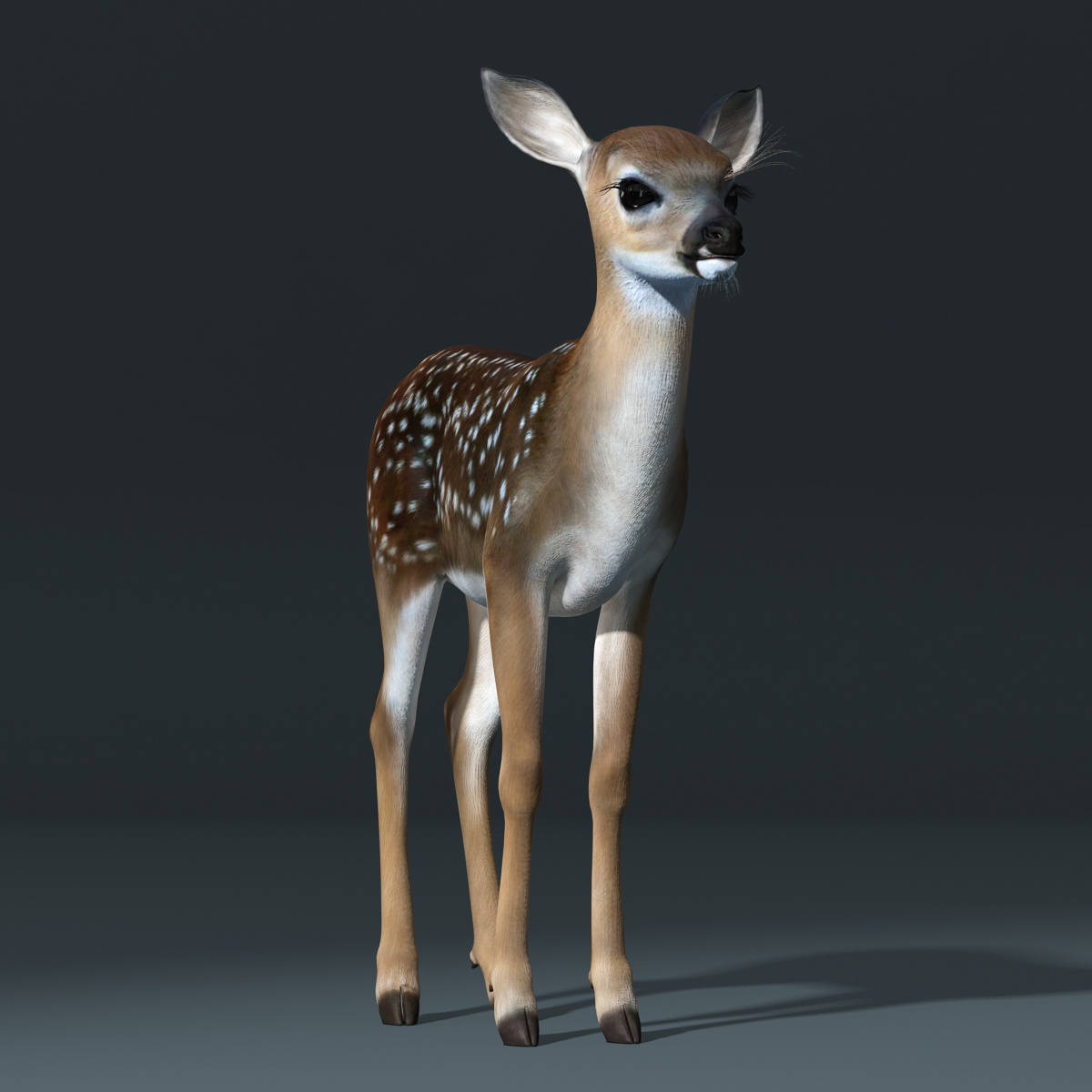 3d fawn baby deer rigged model