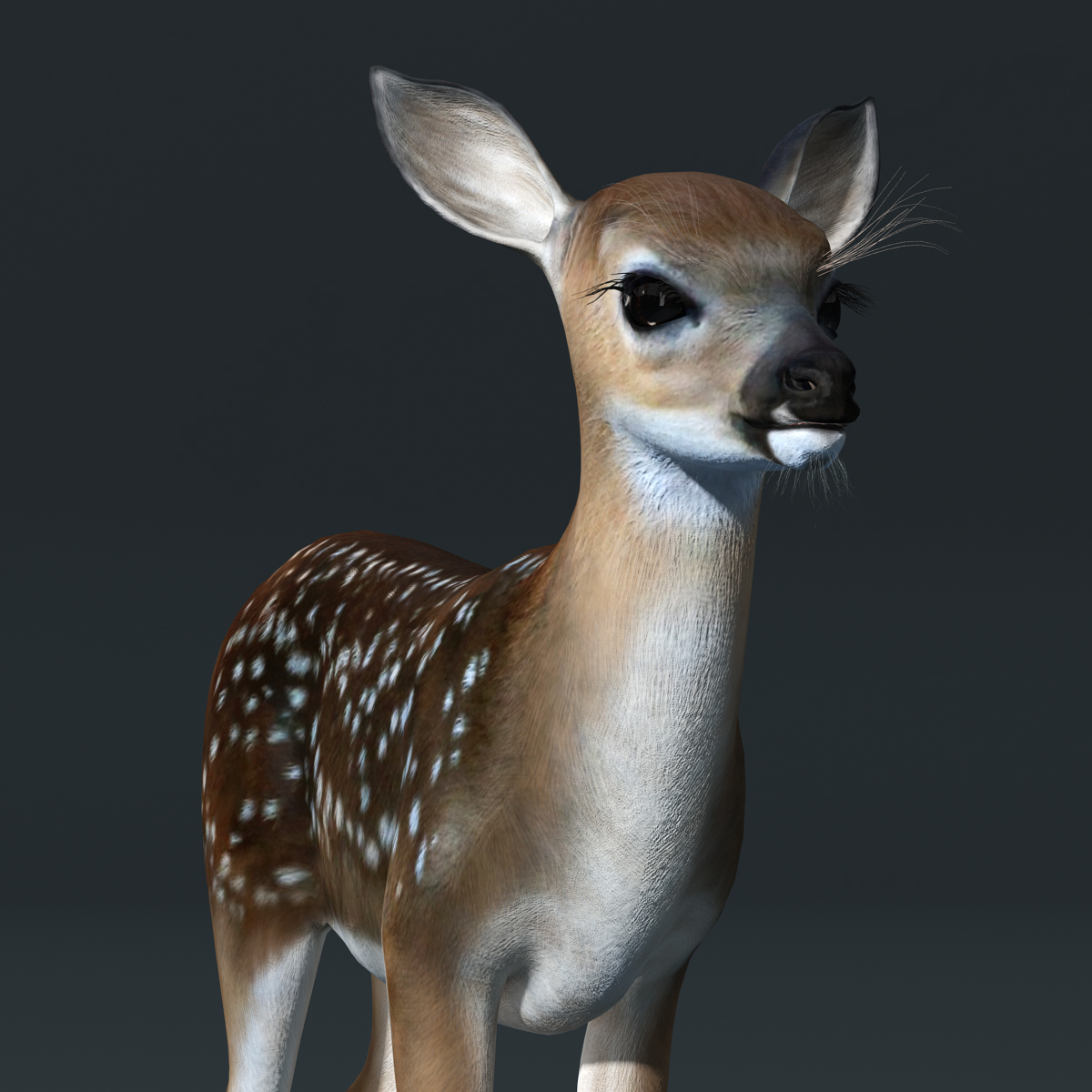 3d fawn baby deer rigged model