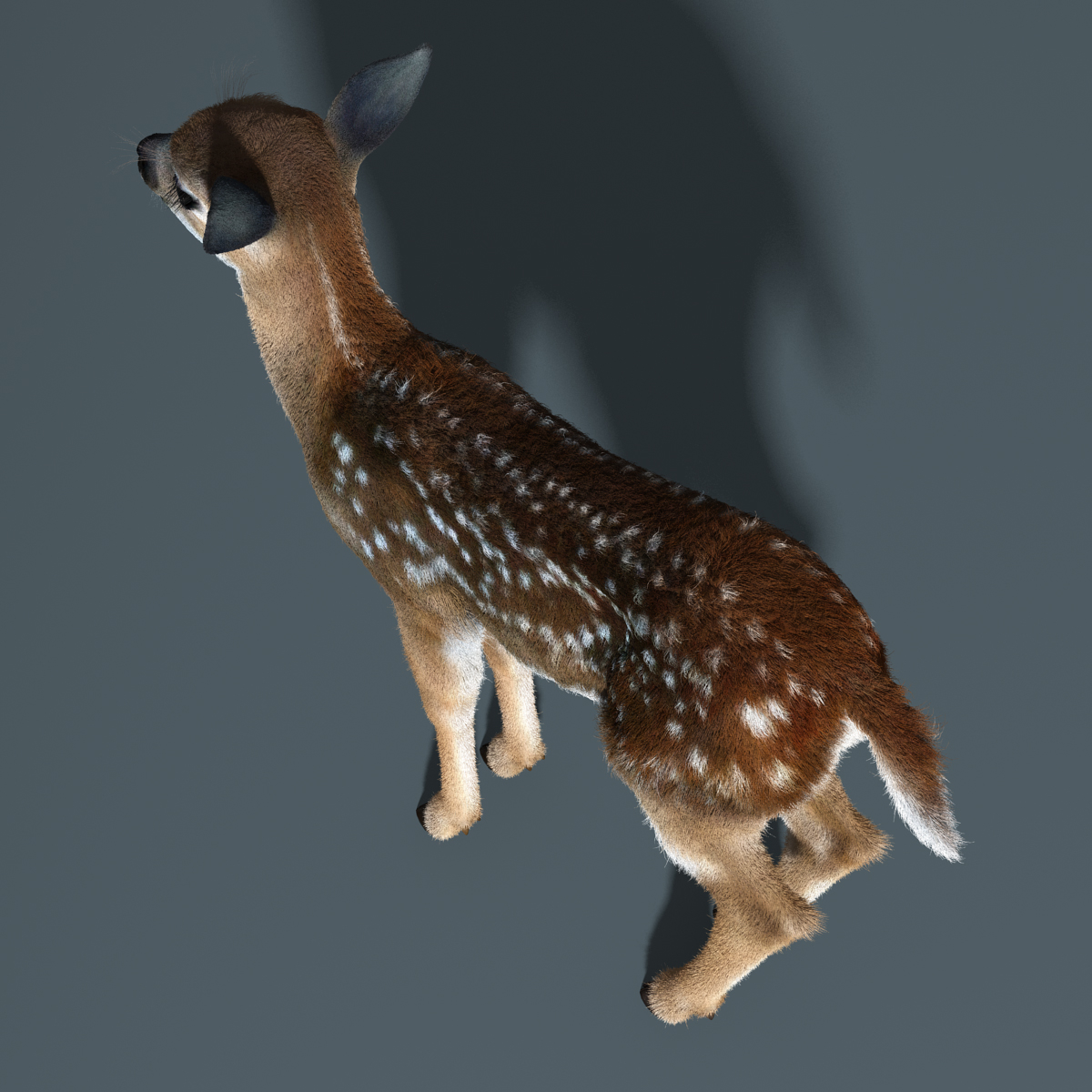 fawn baby deer fur 3d model