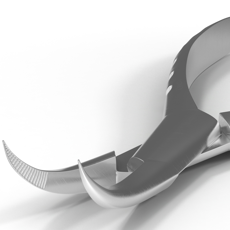 extracting forcep 3d model
