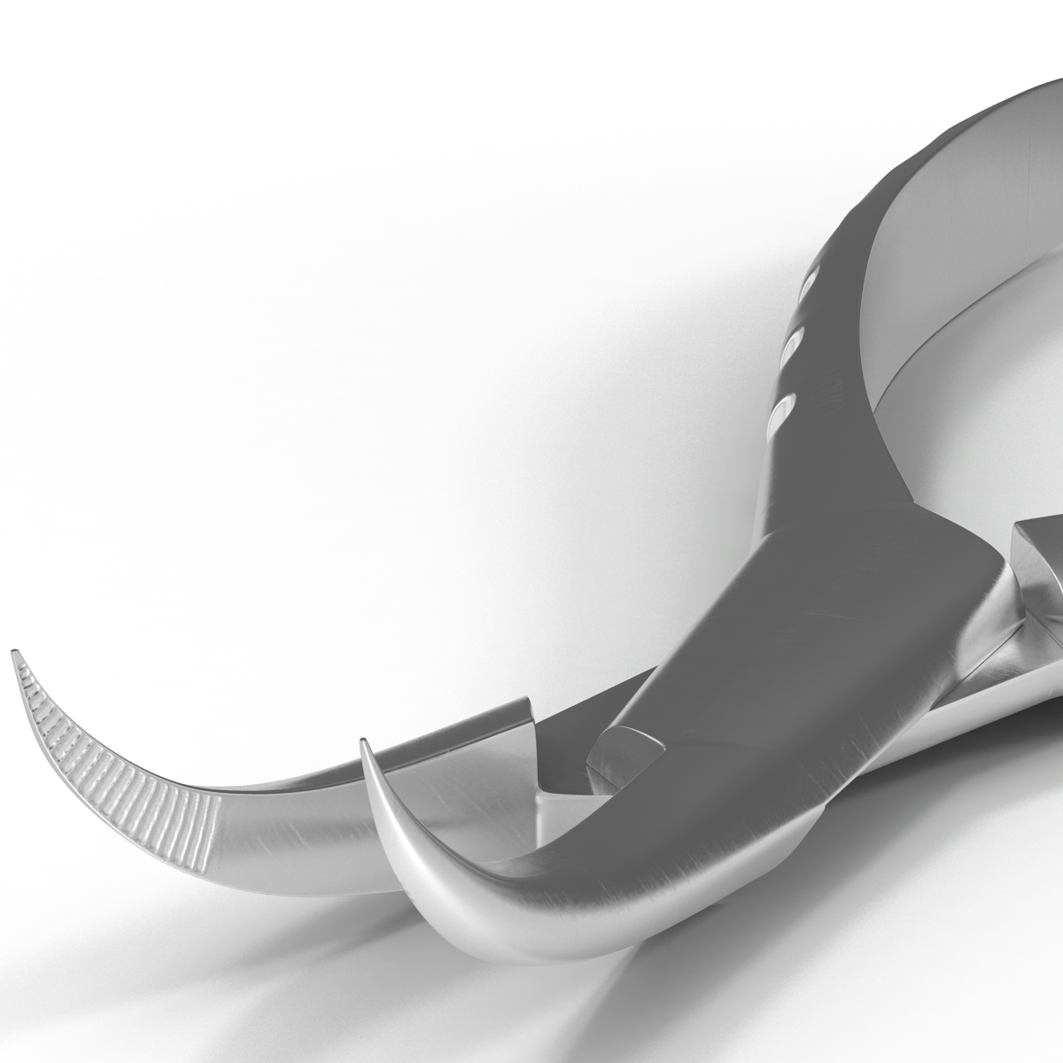 extracting forcep 3d model