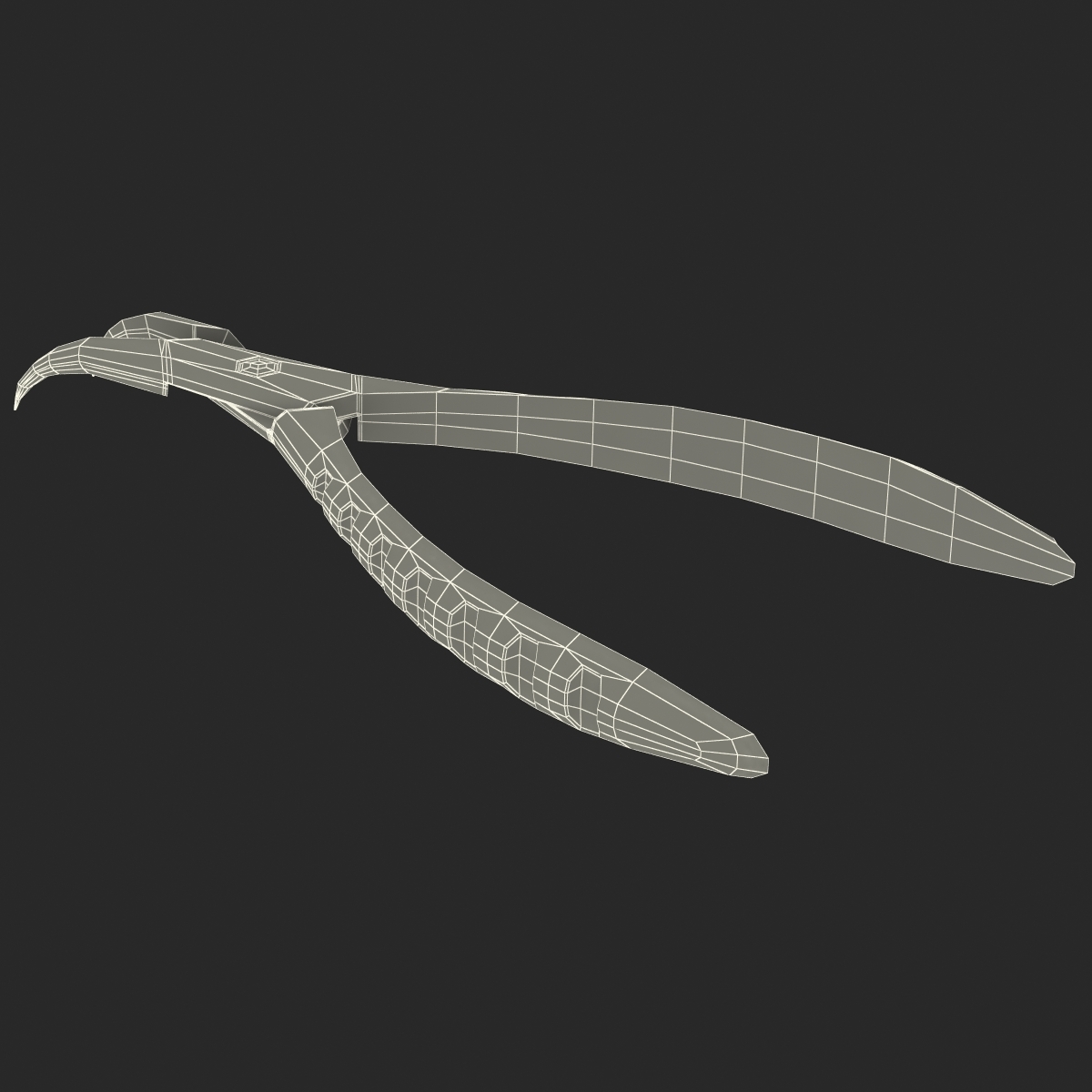 extracting forcep 3d model