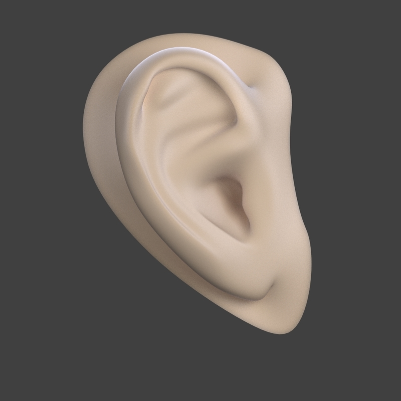 free human ear 3d model