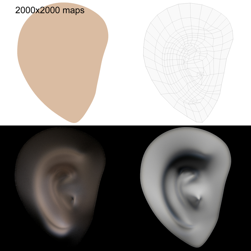 free human ear 3d model