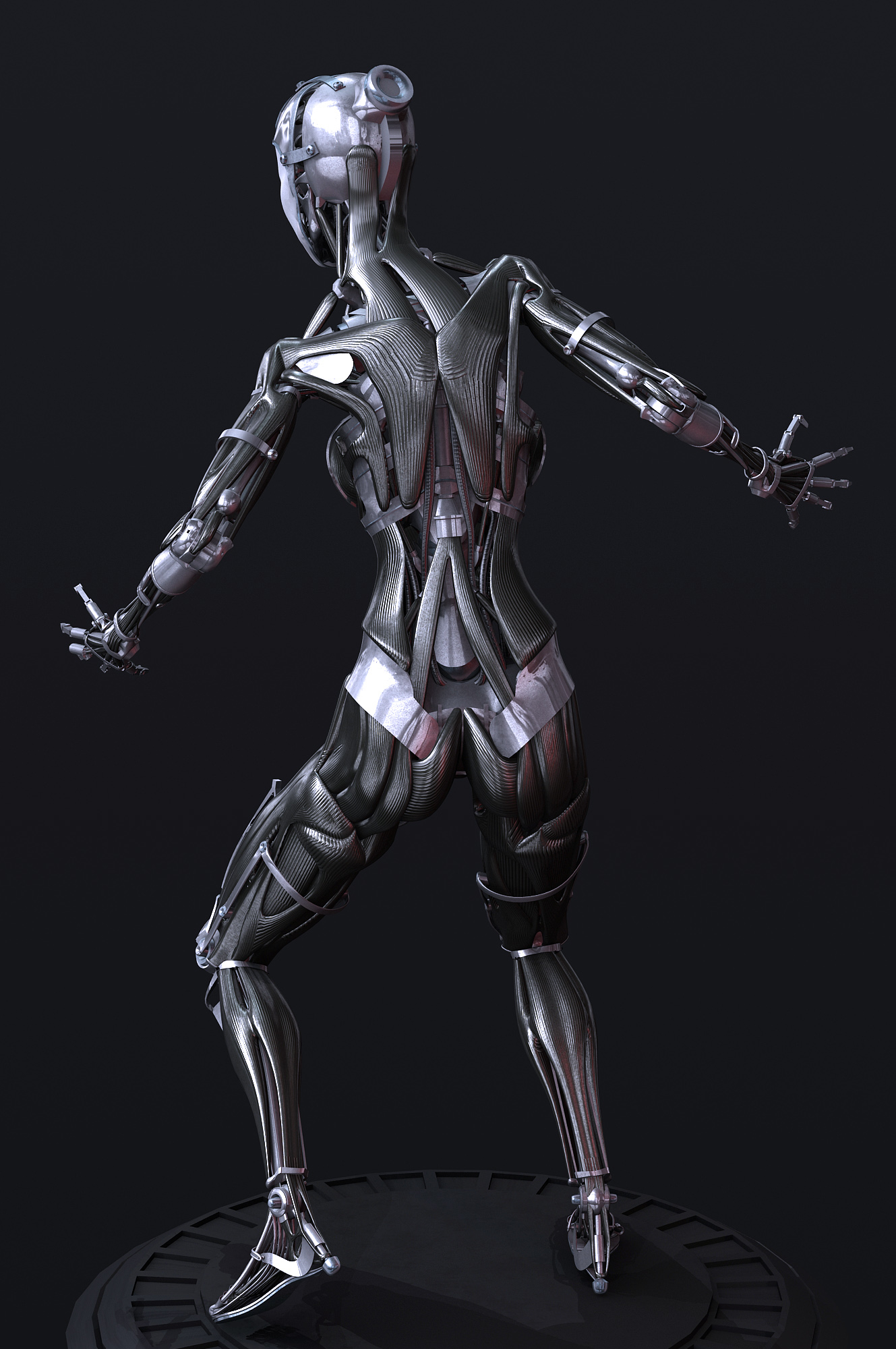 robot anatomical 3d max