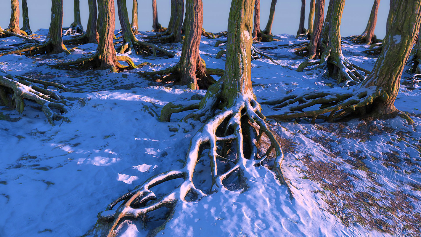 forest winter 3d model