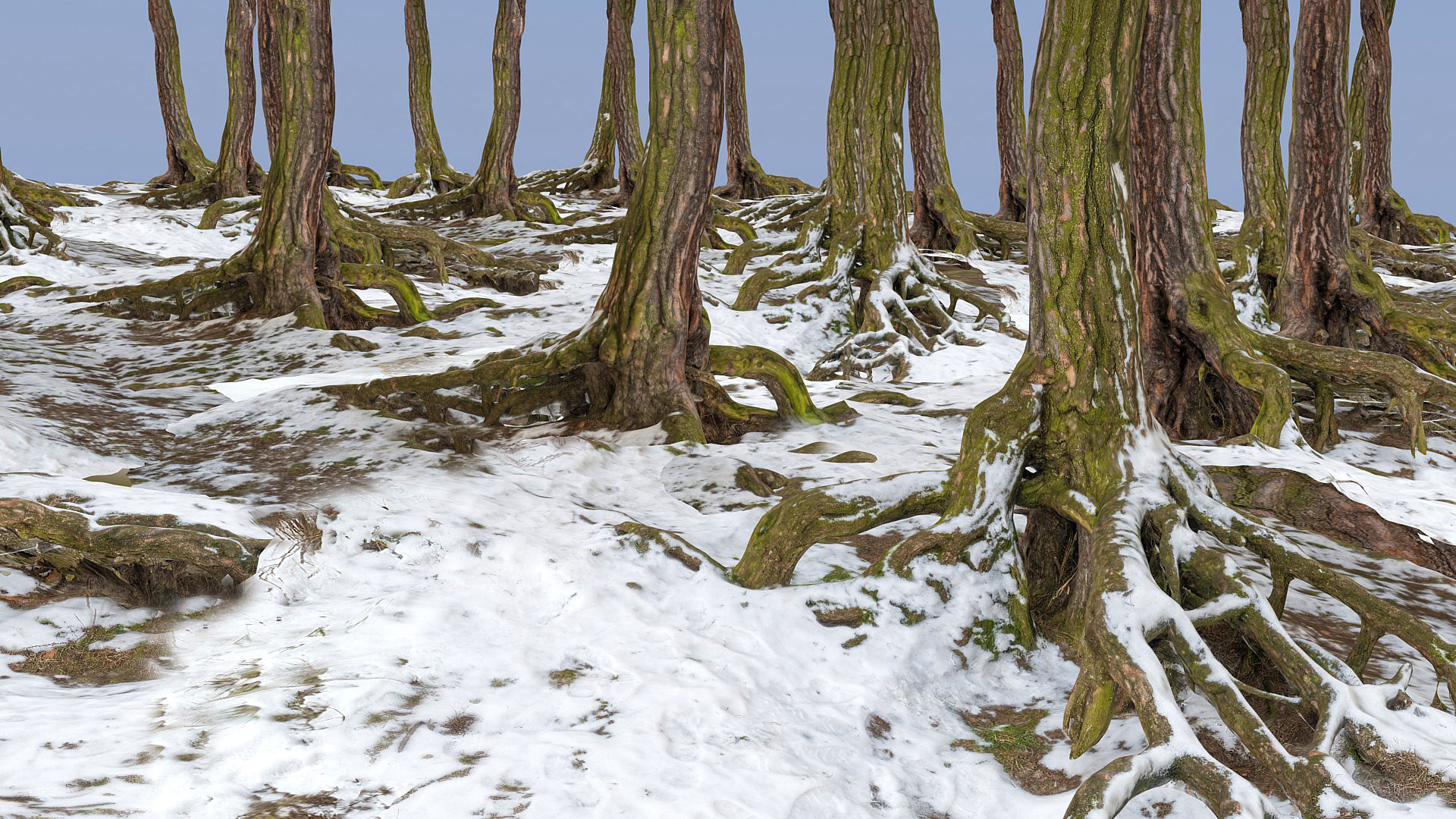 forest winter 3d model