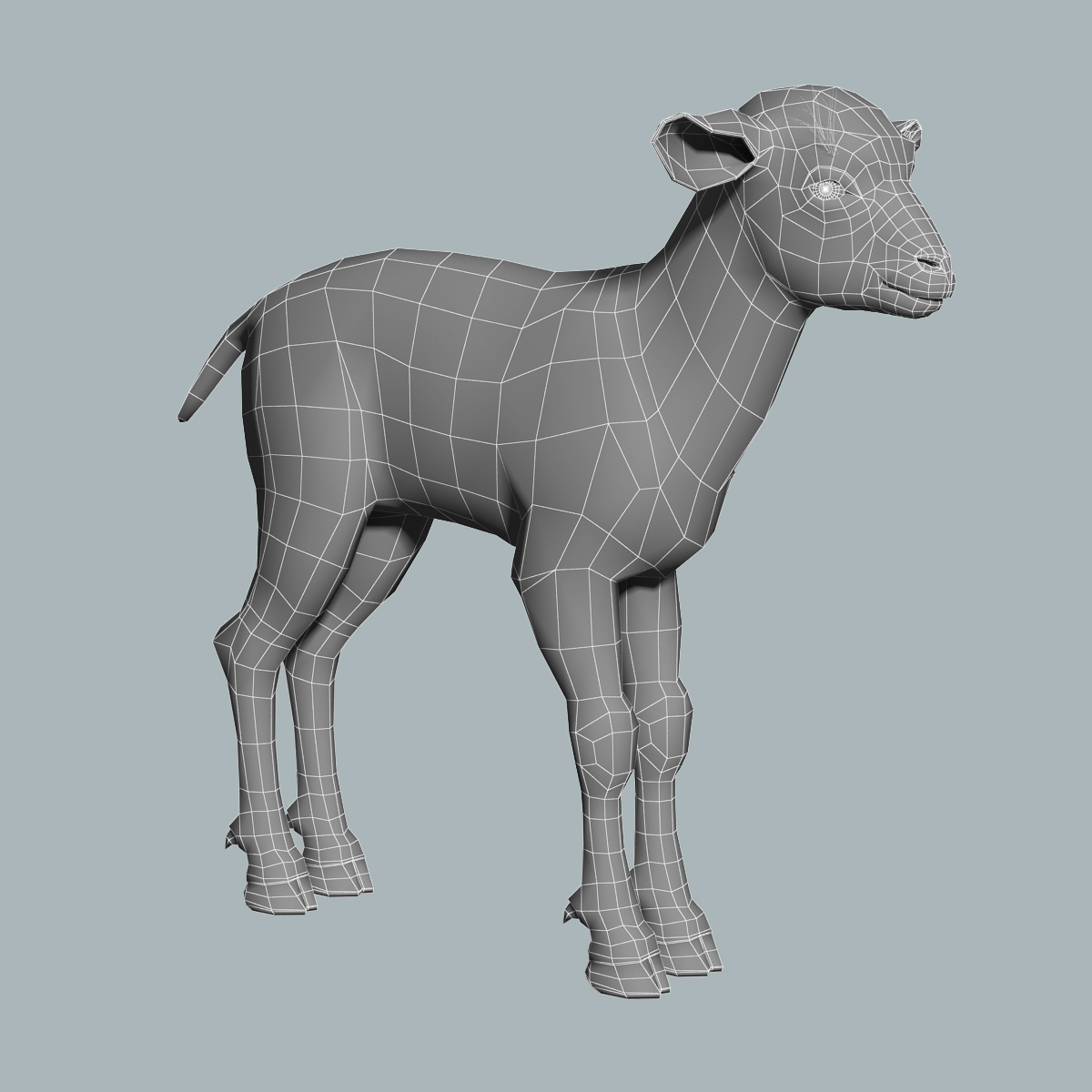 3d baby goat model