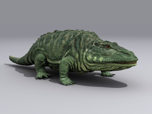 3d eryops amphibians model