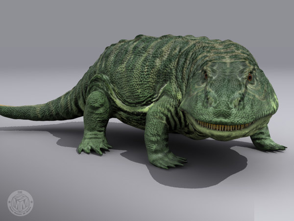 3d eryops amphibians model