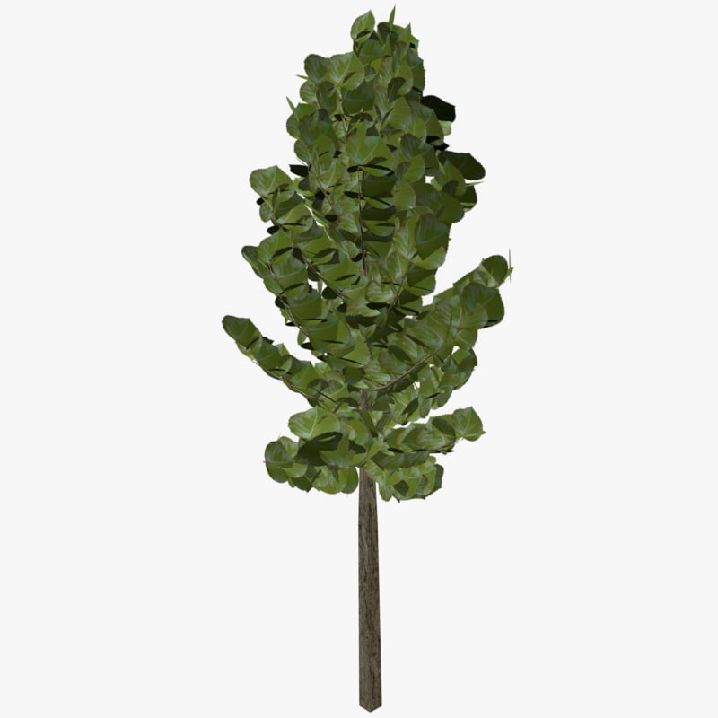 free 3ds model tree