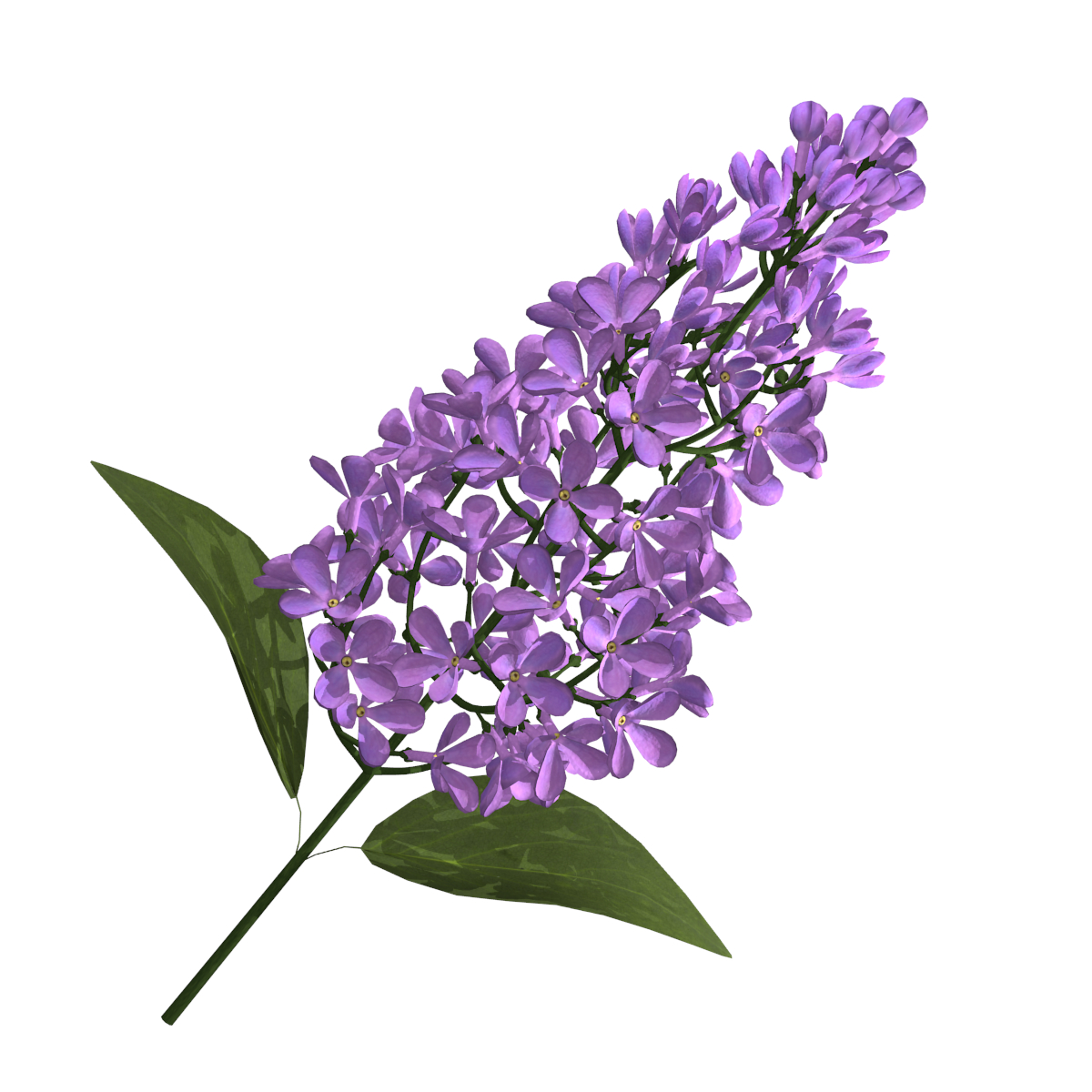 3d flowers model