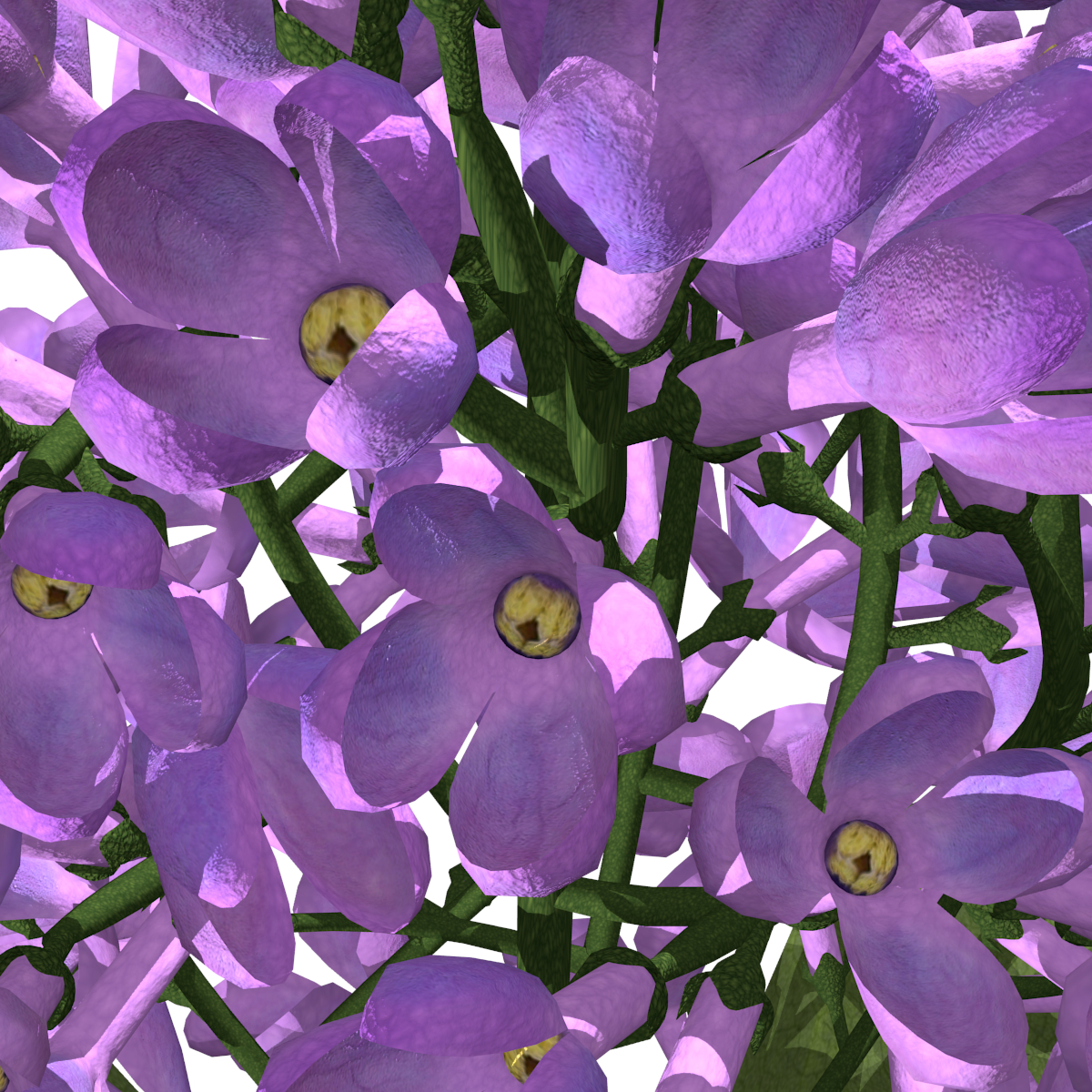 3d flowers model