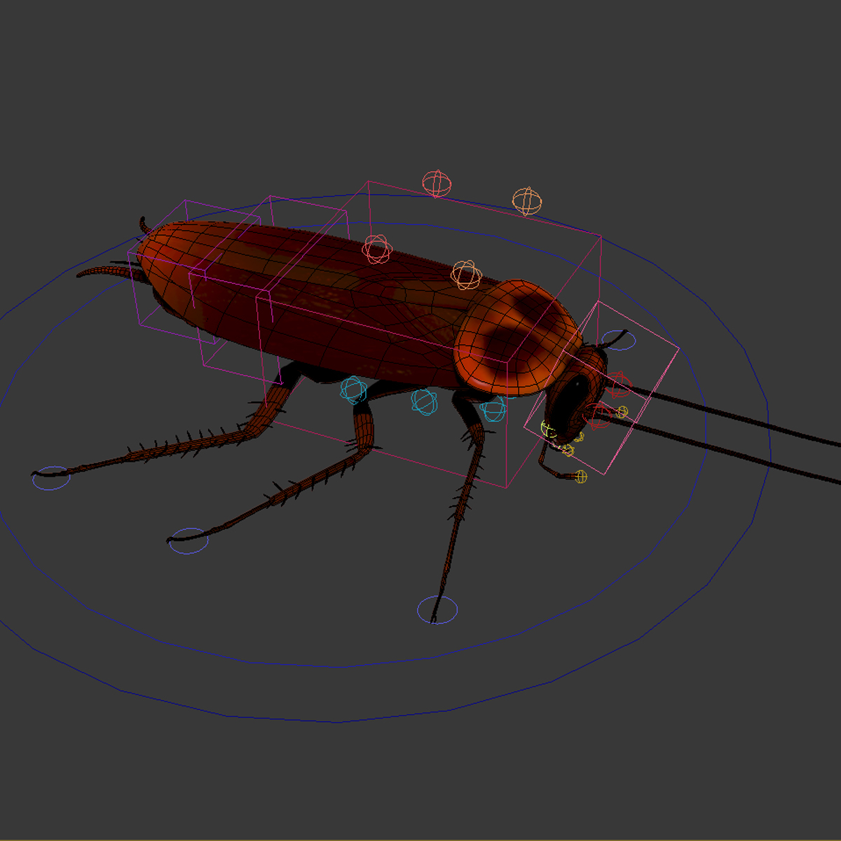 dugm05 cockroach 3d model