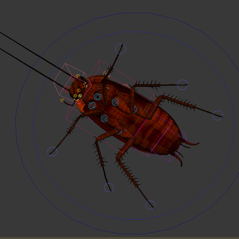 dugm05 cockroach 3d model