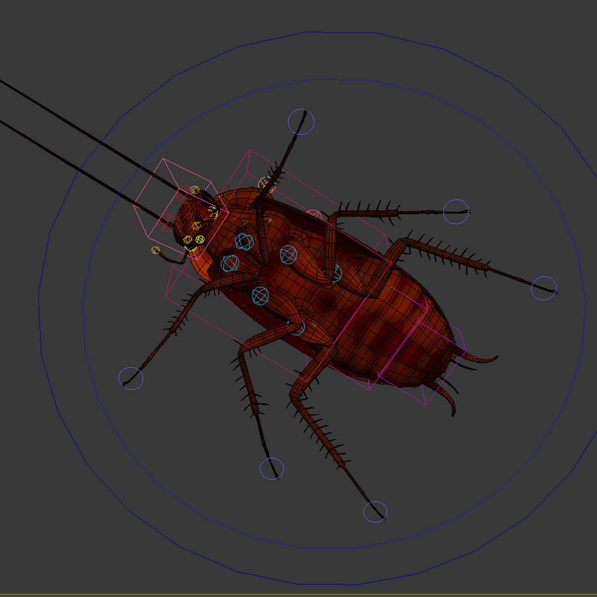 dugm05 cockroach 3d model