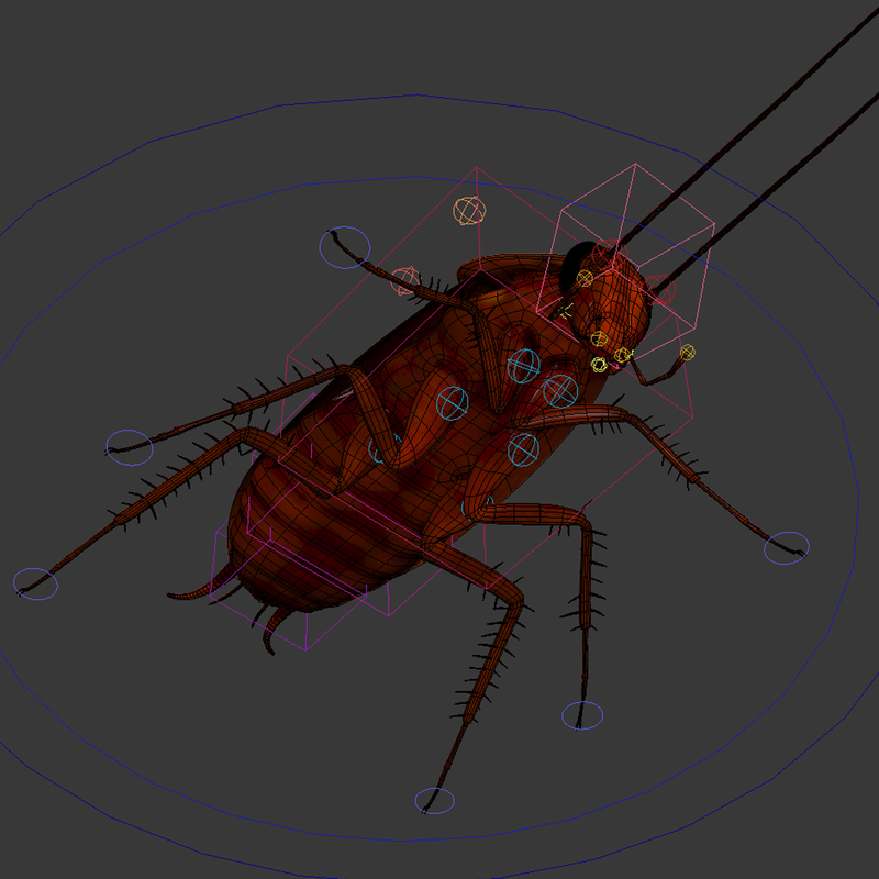 dugm05 cockroach 3d model