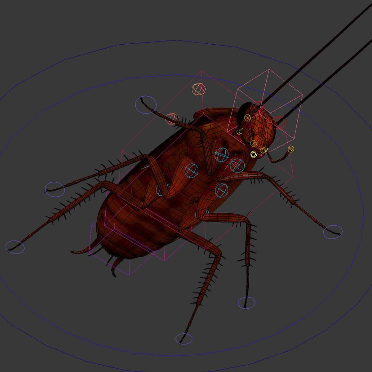 dugm05 cockroach 3d model