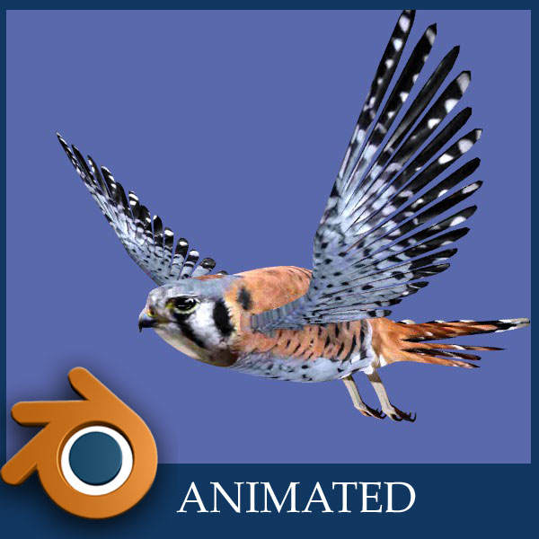 Falcon 3D Models for Download | TurboSquid