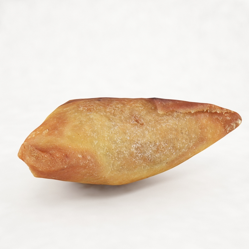 3d model samosa